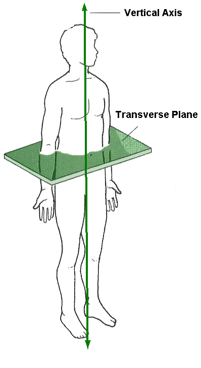 [구파발 재활운동] 신체의 면(plane)과 축(axis) : 네이버 블로그
