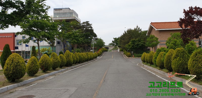 고고리프트 창원고소작업대 렌탈동읍고소작업대진영고소작업대진례고소작업대내서고소작업대칠원고소작업대진동고소작업대 고소작업