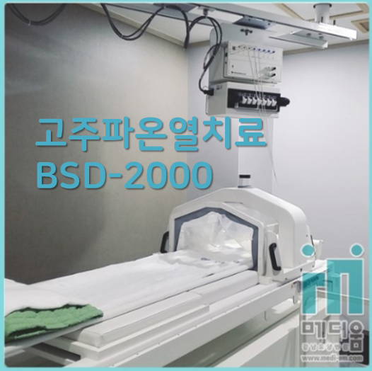 고주파온열치료의 항암치료 효과 (BSD-2000, 온코써미아) : 네이버 블로그