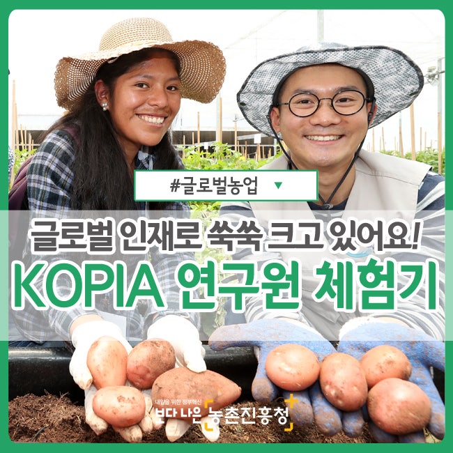 글로벌 인재로 쑥쑥 크고 있어요! ② - KOPIA '연구원' 체험기 : 네이버 블로그