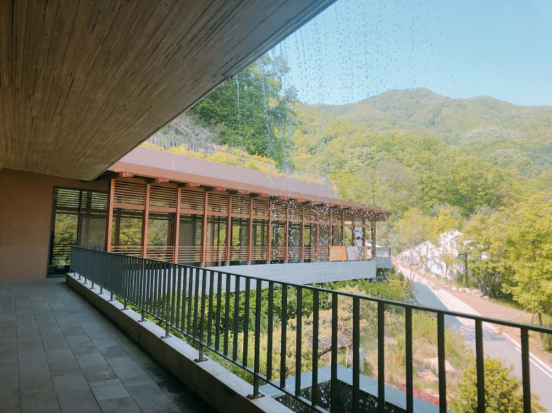 힐리언스 선마을 객실 상세후기 네이버 블로그
