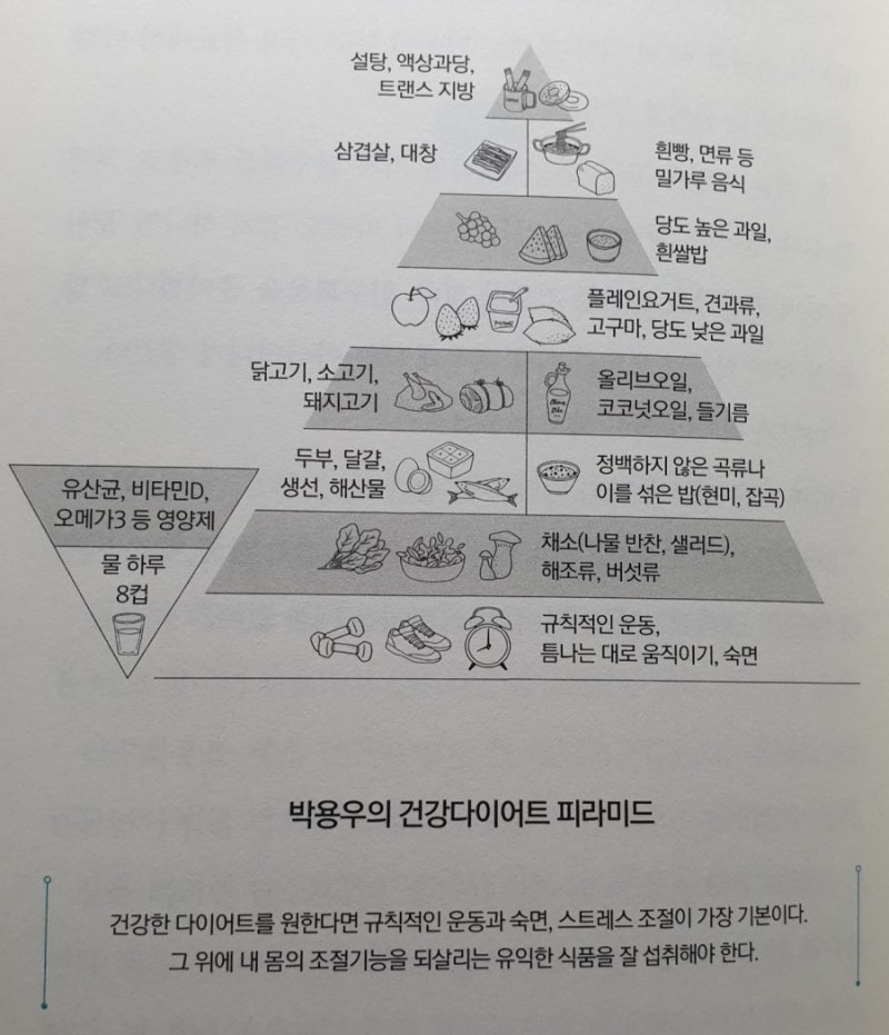 지방 대사 켜는 스위치온 다이어트 박용우 네이버 블로그