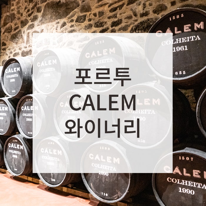 포르투 여행 칼렘 Calem 셀러 투어 포트 와인 파두 Pado 공연 포르투 와이너리 투어 추천 포르투갈 와인