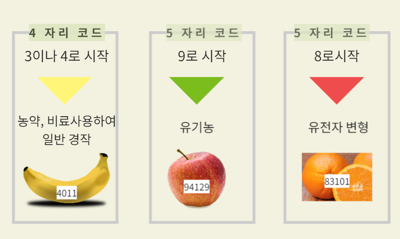 수입 과일 스티커 속 숫자의 비밀(PLU code) : 네이버 블로그