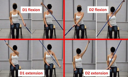 [구파발 재활운동] 스포츠 재활에서의 고유수용성 신경근 촉진법(PNF) 두번째 : 네이버 블로그
