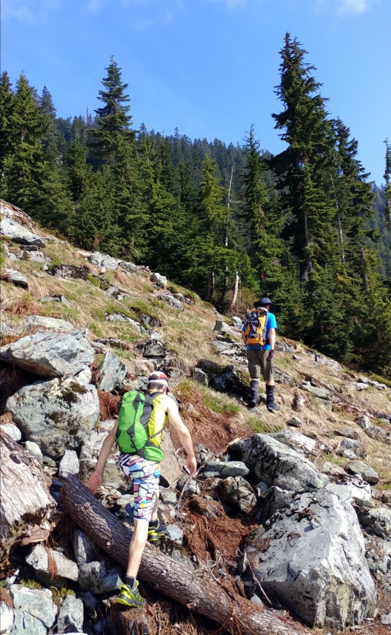 Elsay Lake Trail Hiking : 상상 이상의 신세계 : 네이버 블로그