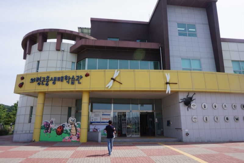 의령여행 의령곤충생태학습관 가깝고 볼거리많고 저렴한 의령곤충박물관 안가볼수 없겠죠 네이버 블로그