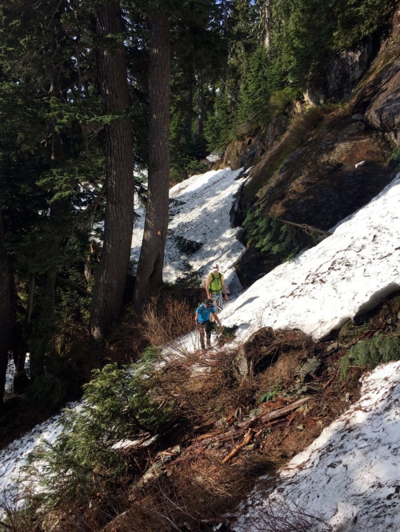 Elsay Lake Trail Hiking : 상상 이상의 신세계 : 네이버 블로그