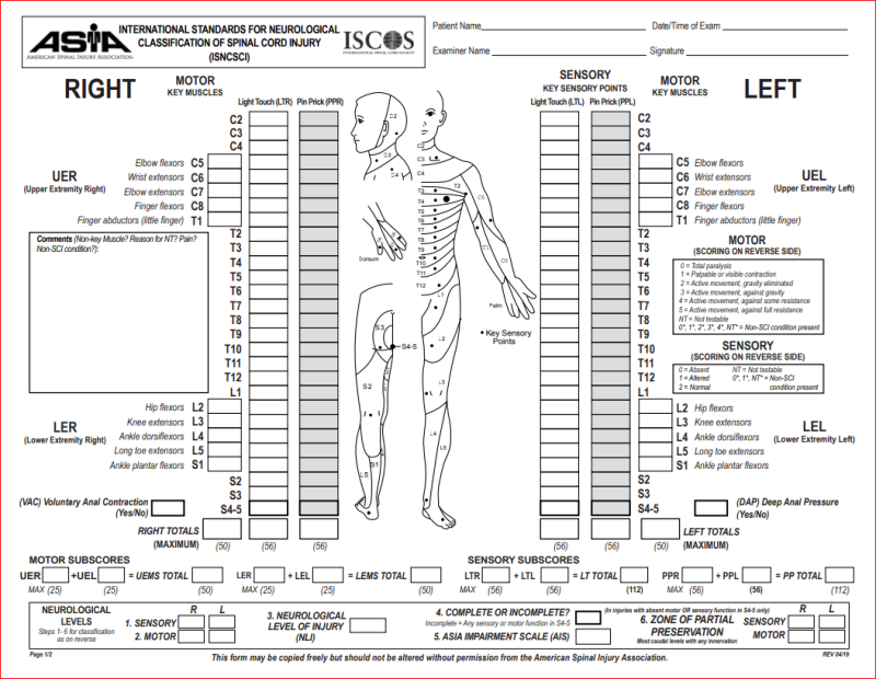 ISNCSCI 쉽게 이해하기(ASIA scale) - #2 워크시트 비교하기 : 네이버 블로그