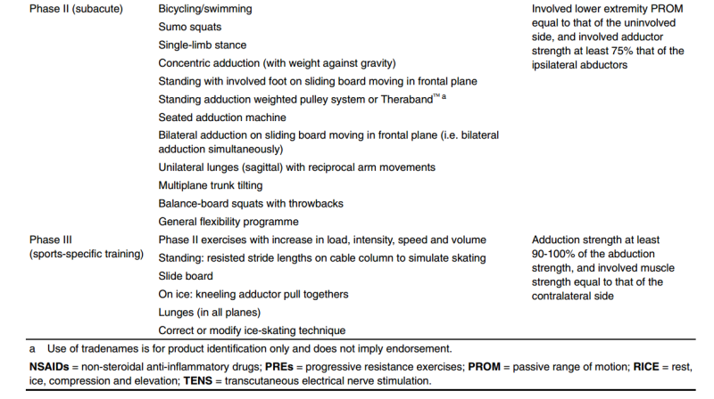 내전건의 손상후 재활 (Adductor injury, Anatomy 는 덤) feat. 목요일 컨퍼런스 : 네이버 블로그