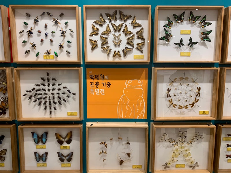 강화도 여행강화 역사박물관 강화 자연사박물관 강화 고인돌공원 네이버 블로그