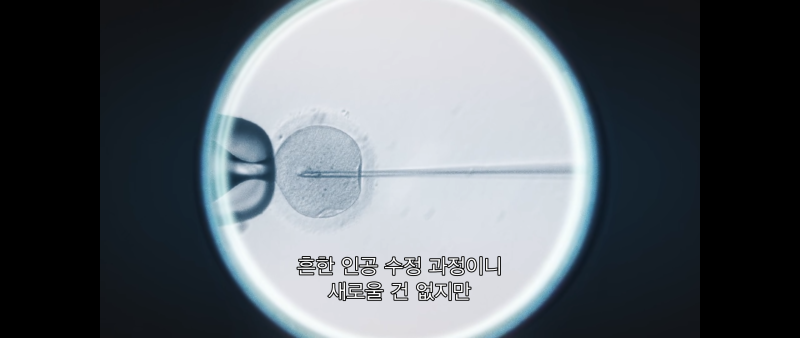 [Netflix] 익스플레인(explained) : 맞춤형 DNA : 네이버 블로그