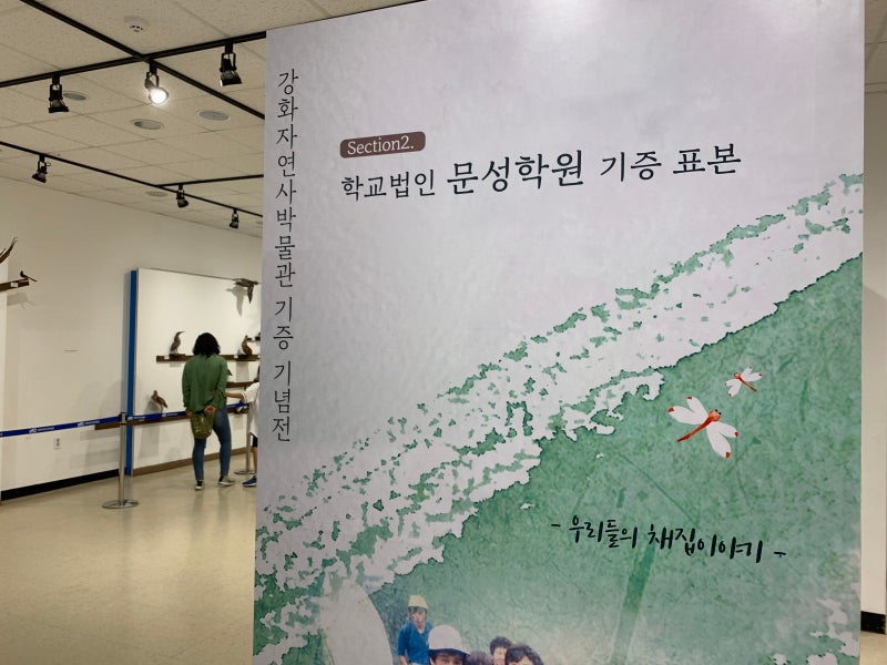 강화도 여행강화 역사박물관 강화 자연사박물관 강화 고인돌공원 네이버 블로그