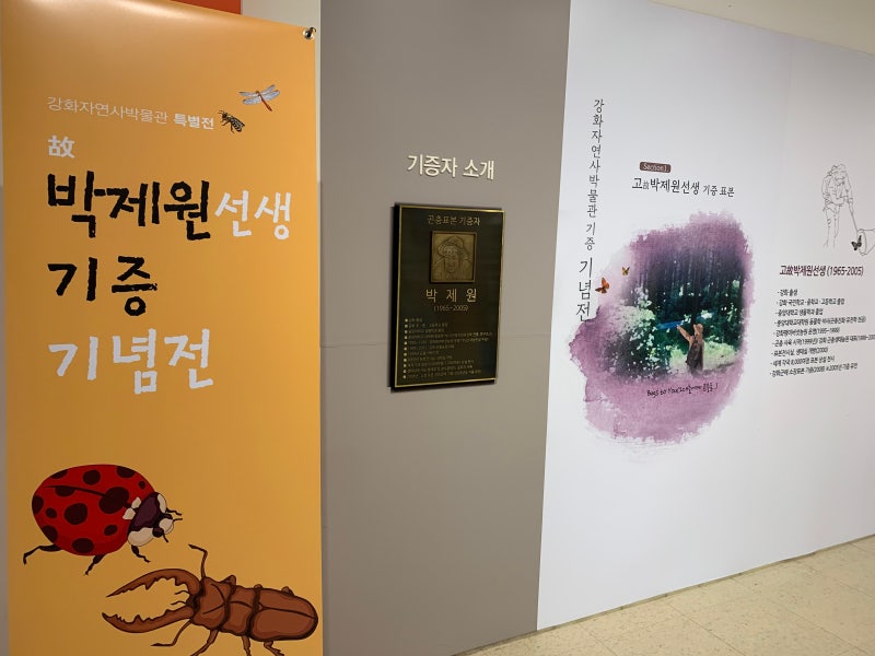 강화도 여행강화 역사박물관 강화 자연사박물관 강화 고인돌공원 네이버 블로그