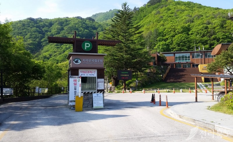 남원 지리산 뱀사골 천년송 - 명품계곡에서 만나는 천년 역사 : 네이버 블로그