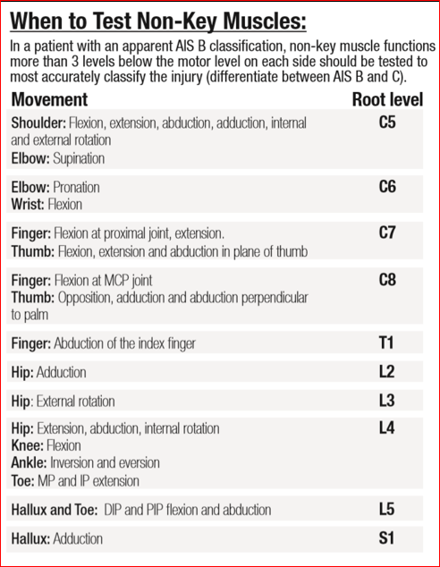 ISNCSCI 쉽게 이해하기(ASIA scale) - #4 완전손상 l 불완전손상 l ASIA level l ZPP란 무엇 ...