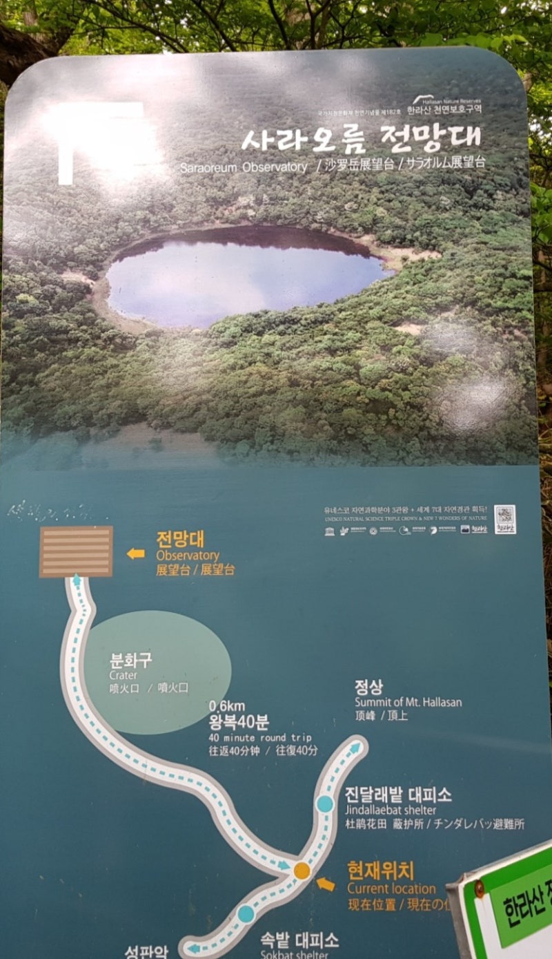여름 제주 한라산백록담 등산 코스성판악 사라오름 백록담 관음사 6월 한라산 등반 복장 준비물 네이버 블로그