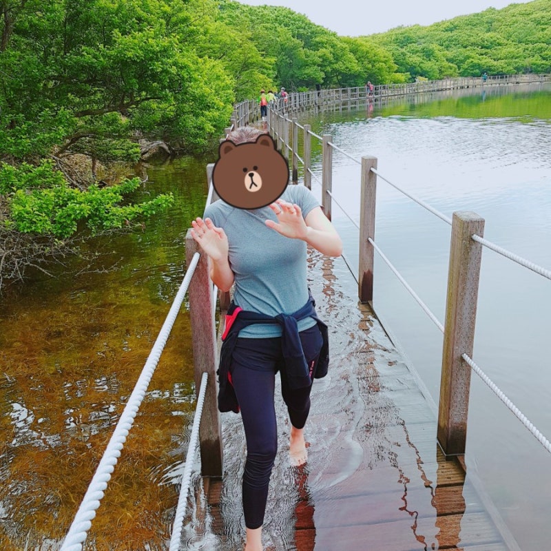 여름 제주 한라산백록담 등산 코스성판악 사라오름 백록담 관음사 6월 한라산 등반 복장 준비물 네이버 블로그