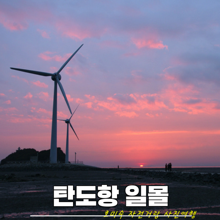 안산 대부도 가볼만한곳 탄도항 누에섬 서해바다여행 수산물직판장회센터 나혼자산다 전현무드라마 촬영지 네이버 블로그