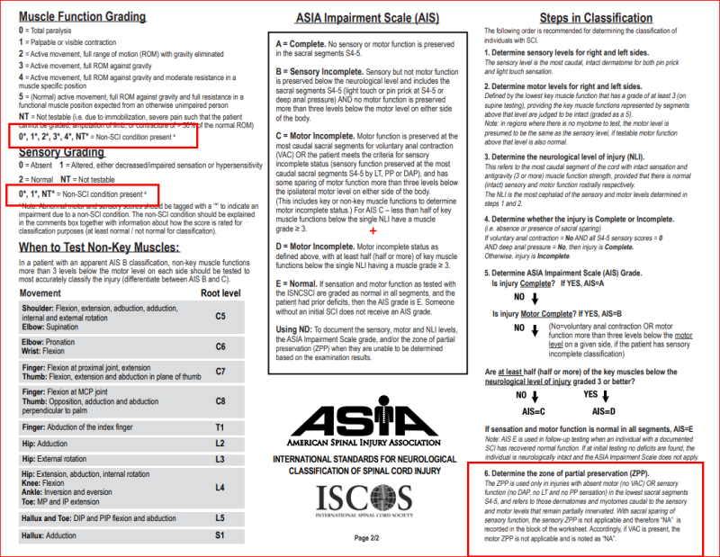ISNCSCI 쉽게 이해하기(ASIA scale) - #2 워크시트 비교하기 : 네이버 블로그