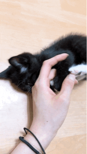 동대문 한식 맛집 "딱이야" 삼치구이는 제철에 먹자...!!!ㅋㅋㅋㅋ : 네이버 블로그