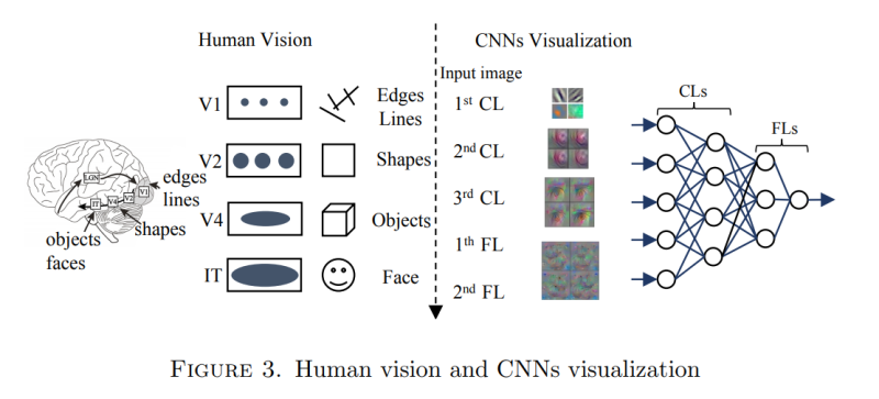 CNN visualization, (1) Activation maximization tensorflow로 구현하기 참고자료 ...