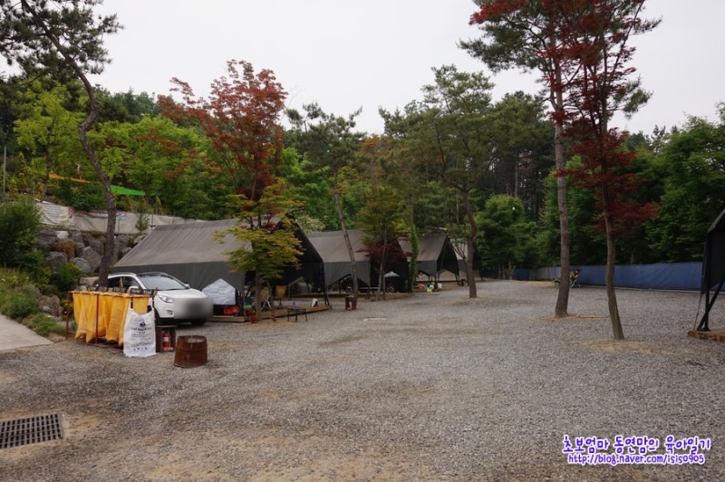 포천캠핑장 광릉숲이야기로 6월연휴 캠핑 다녀온 이야기~ 네이버 블로그