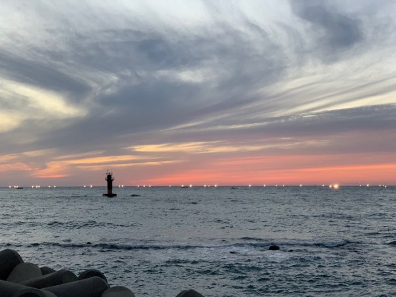 제주도도배벽지판매and바닥재마루장판시공 명품벽지상사and장미종합실내장식 2019년 상반기 벽지도배and강마루and장판시공현황 네이버 블로그