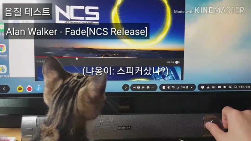 스마텍 블루투스 사운드바(STBT-BAR1000) / 2채널 / TF음악재생 / PC스피커 - 가성비 스피커(음질좋음) : 네이버 블로그