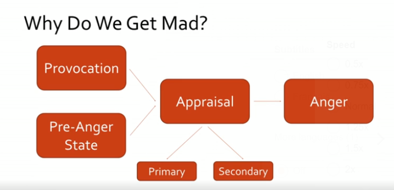 [화-TED] Why we get mad — and why it's healthy by Ryan Martin : 네이버 블로그