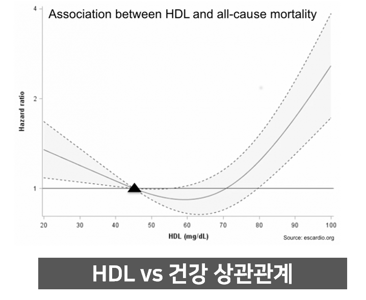 HDL 콜레스테롤 높으면 무조건 좋을까요? [4편] : 네이버 블로그