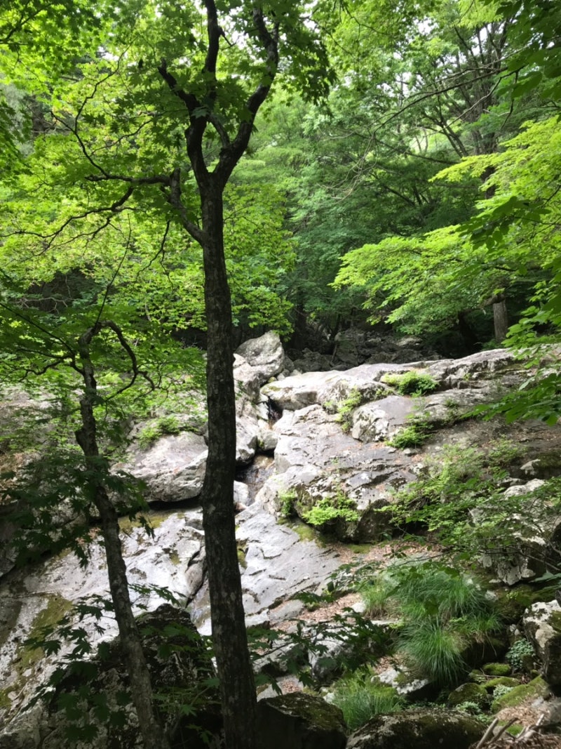 덕유산 국립공원 무주 구천동 어사길 백련사 네이버 블로그