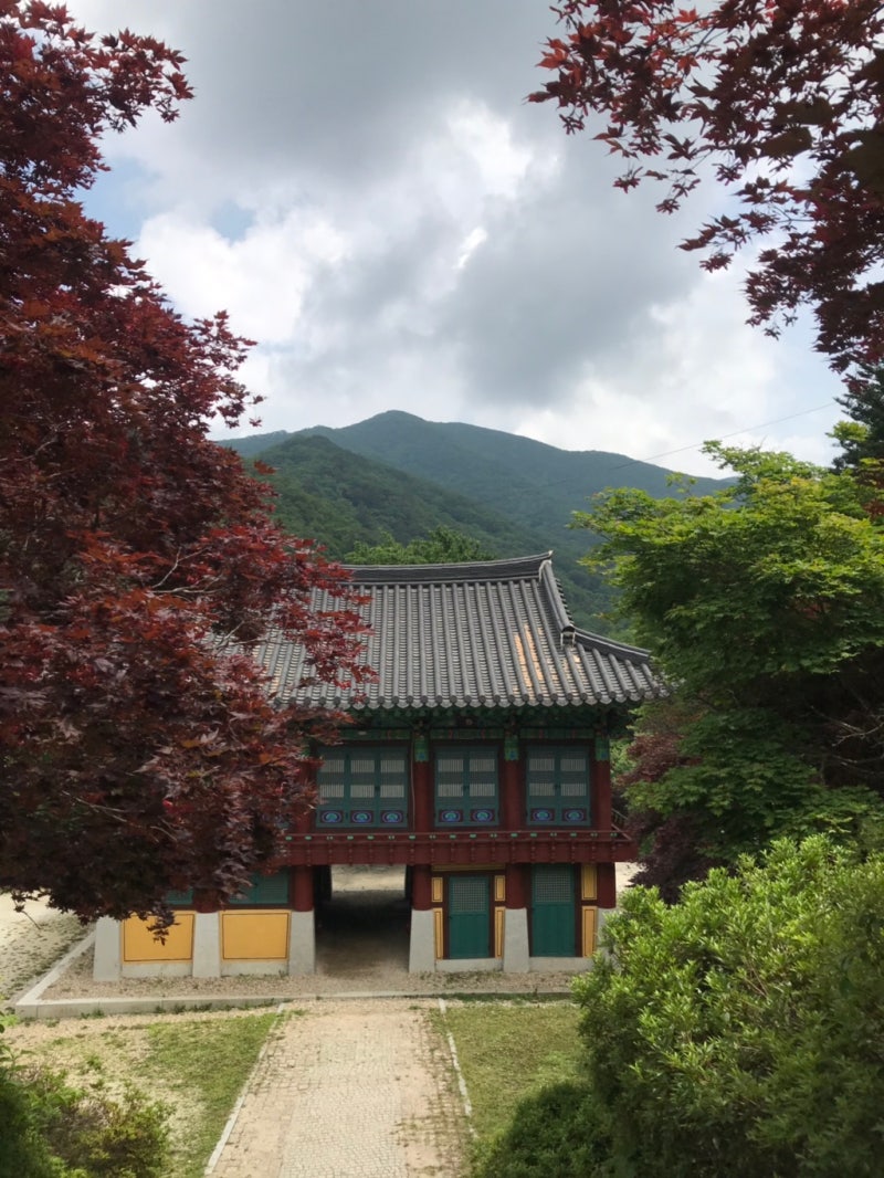 덕유산 국립공원 무주 구천동 어사길 백련사 네이버 블로그