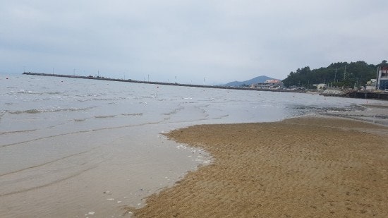 보성율포솔밭해수욕장 녹차해수탕 바지락무침 네이버 블로그