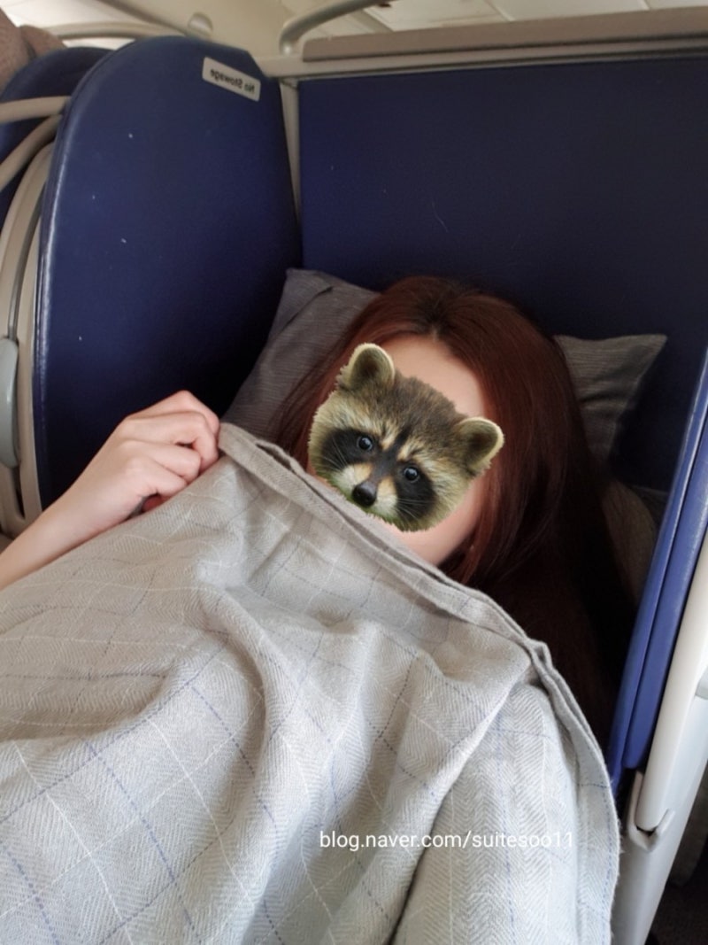 아시아나 비지니스 마닐라-인천 OZ702, OZ701 (2층 비행기) : 네이버 블로그