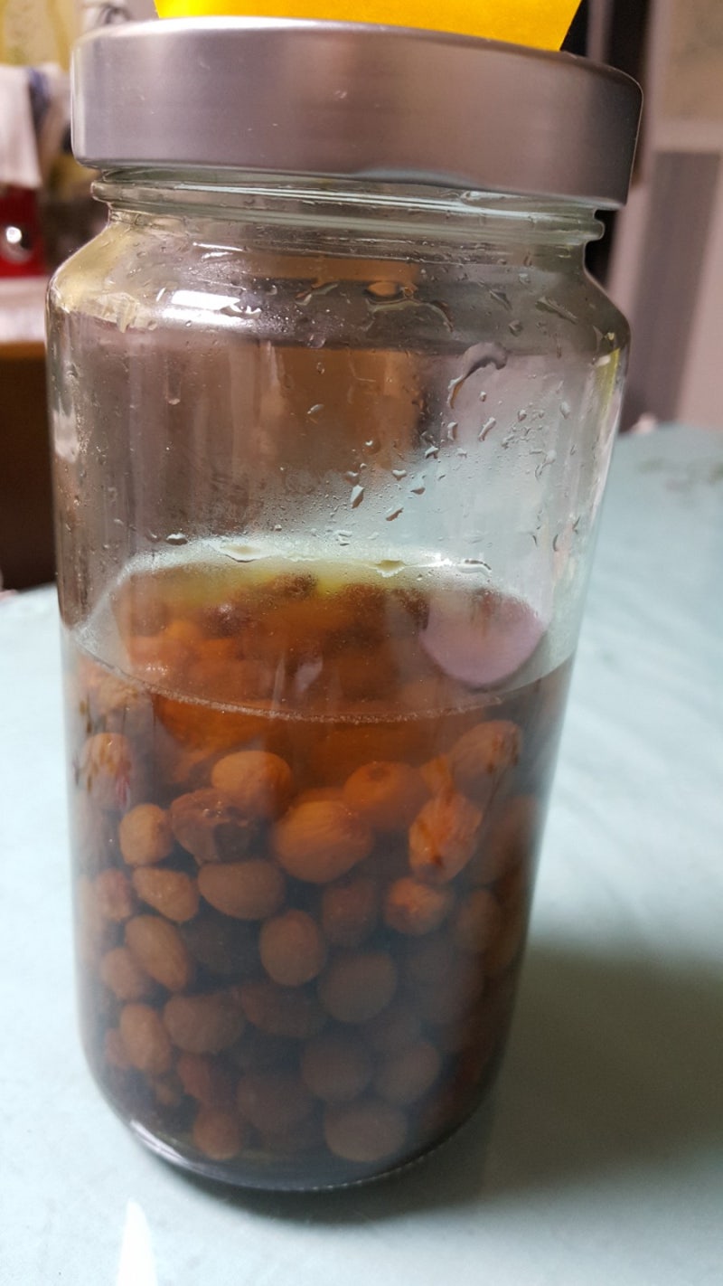 건포도 액종 만들기발효종 And 천연발효종만들기2019623~201972 7차밥주기진행 완료 네이버 블로그