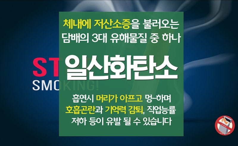 금연교육 흡연예방교육 고퀄리티의 보건교육프로그램 금연체험부스 미션임파서블 입니다 와이컴퍼니 네이버 블로그