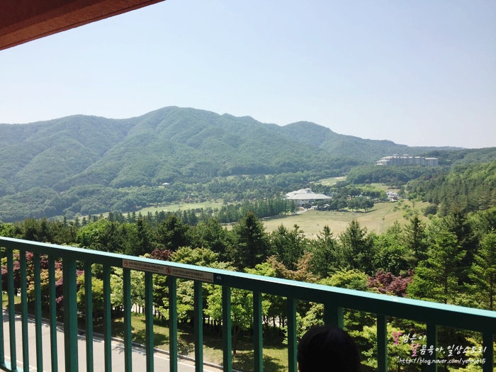 아이랑 원주여행2 오크밸리리조트 골프빌리지 노블 리뉴얼 가성비좋은 리조트 네이버 블로그