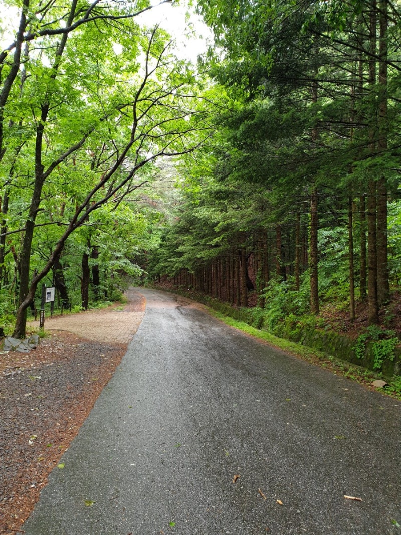 덕유산자연휴양림 숲속의집 가문비나무단풍나무 이용후기~~ 네이버 블로그