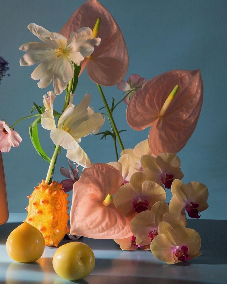 Doan Ly : 네이버 블로그