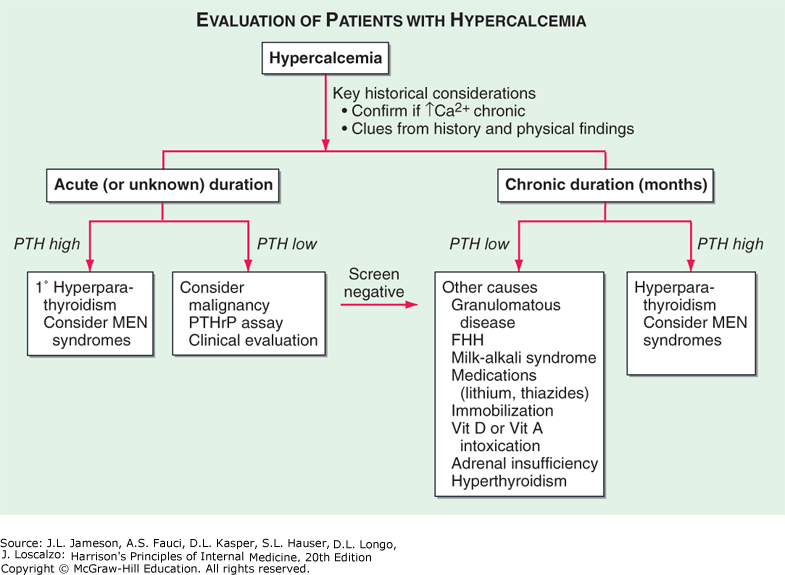 전해질 불균형. 고칼슘혈증(Hypercalemia), 저칼슘혈증(Hypocalemia), 고인산혈증, 저인산혈증 증상과 치료 및 ...