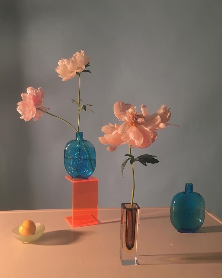 Doan Ly : 네이버 블로그