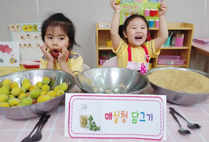 덕양구 행신동 유치원 호수유치원 요리활동 매실청 담그기 네이버 블로그