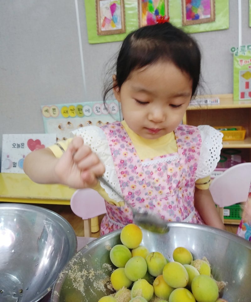 덕양구 행신동 유치원 호수유치원 요리활동 매실청 담그기 네이버 블로그