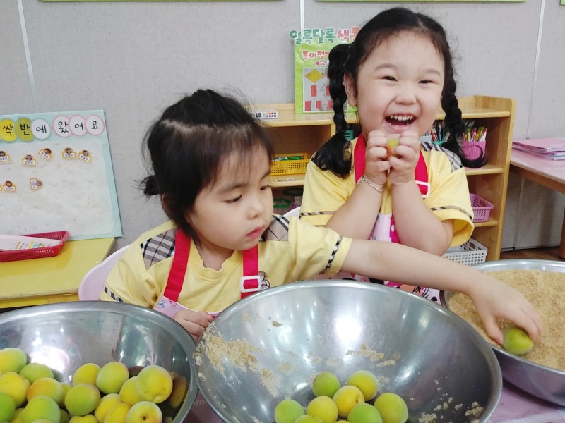 덕양구 행신동 유치원 호수유치원 요리활동 매실청 담그기 네이버 블로그