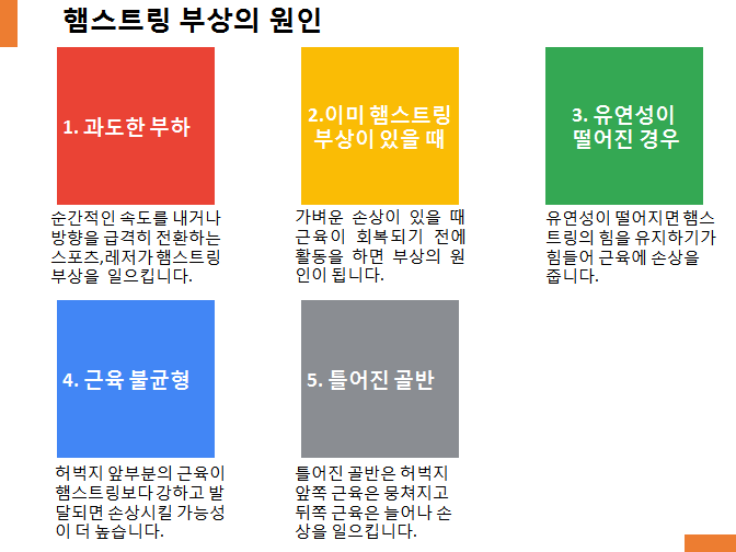 햄스트링오금hamstring부상 원인과 증상•질병의 예방은 조금 더 아는 지식입니다 네이버 블로그