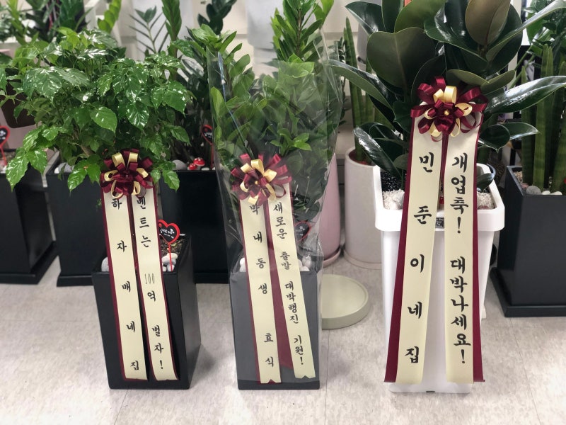 동탄화분배달 동탄식물 동탄꽃집 동탄2신도시 예쁜꽃집 블루미미플라워 동탄2꽃집 개업화분 집들이선물 입주축하 승진 화환 동탄2화분