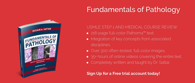 USMLE Step 1 : 준비기간 / 교재 / 공부 방법 : 네이버 블로그