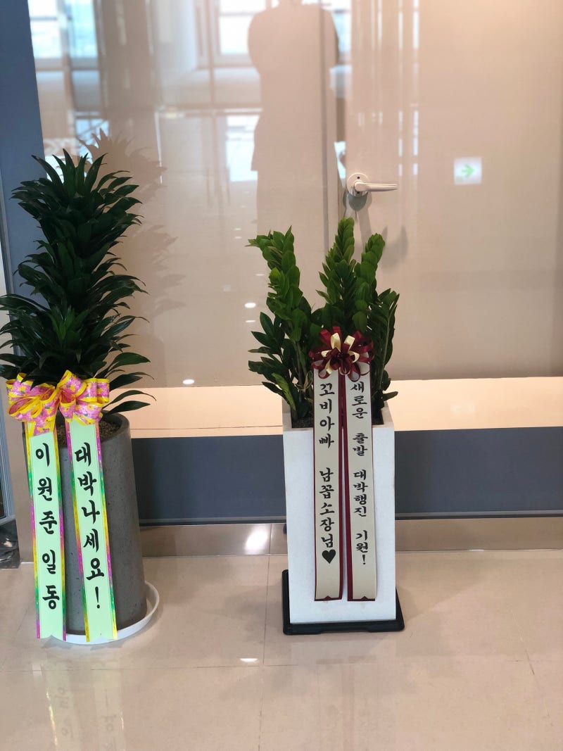동탄화분배달 동탄식물 동탄꽃집 동탄2신도시 예쁜꽃집 블루미미플라워 동탄2꽃집 개업화분 집들이선물 입주축하 승진 화환 동탄2화분