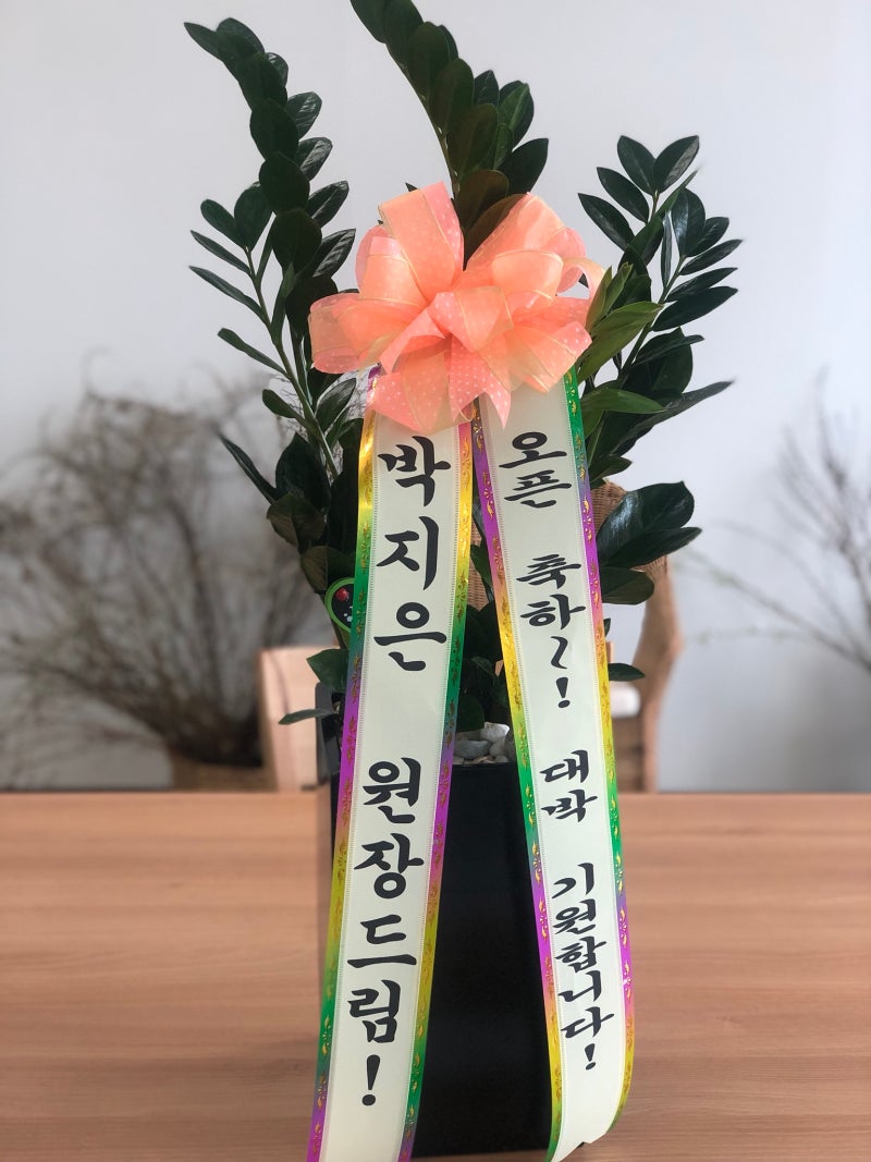 동탄화분배달 동탄식물 동탄꽃집 동탄2신도시 예쁜꽃집 블루미미플라워 동탄2꽃집 개업화분 집들이선물 입주축하 승진 화환 동탄2화분
